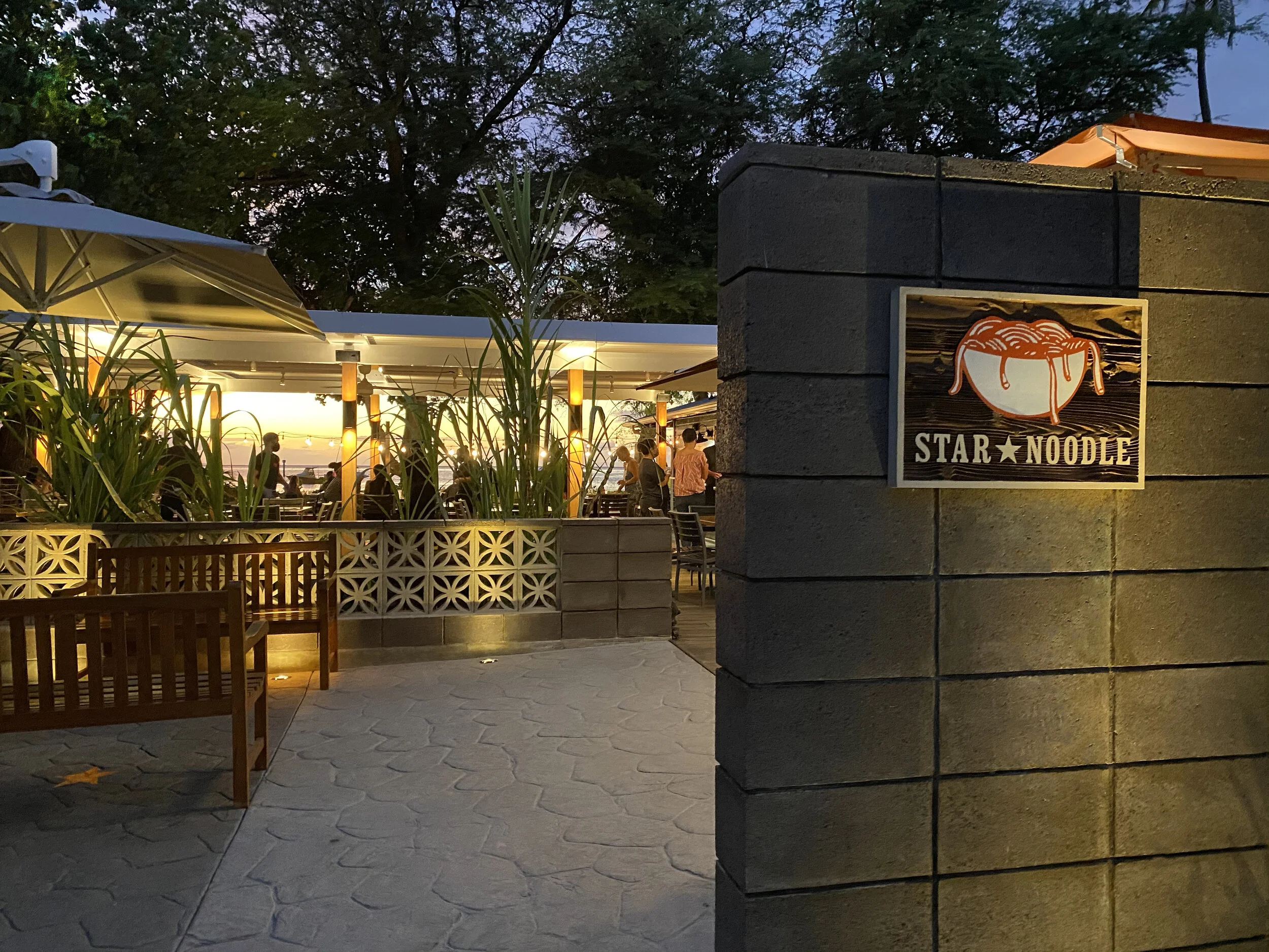 Visit — Star Noodle v2