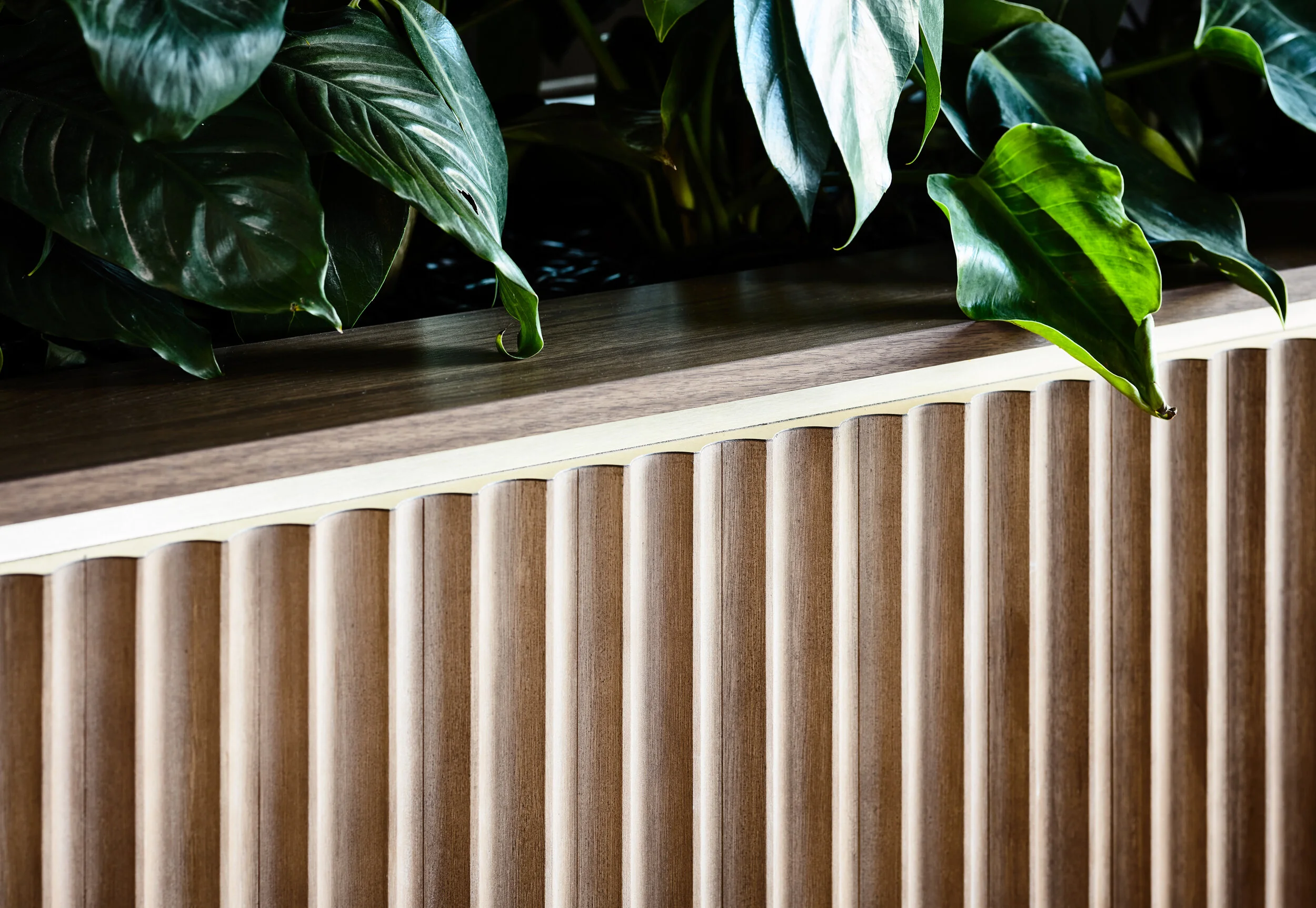 Peter Ryan Architects