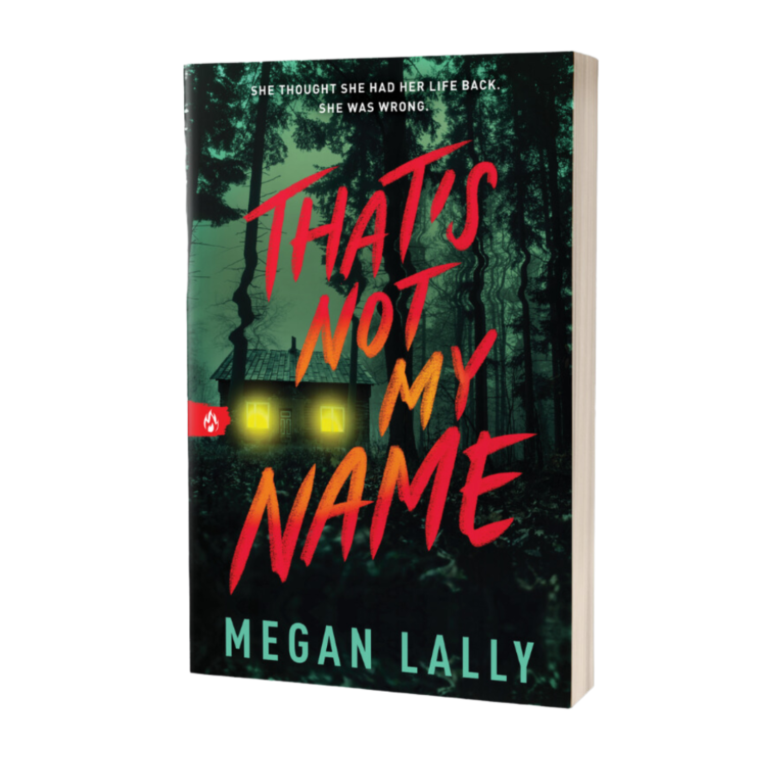 That's Not My Name — Megan Lally- YA Author