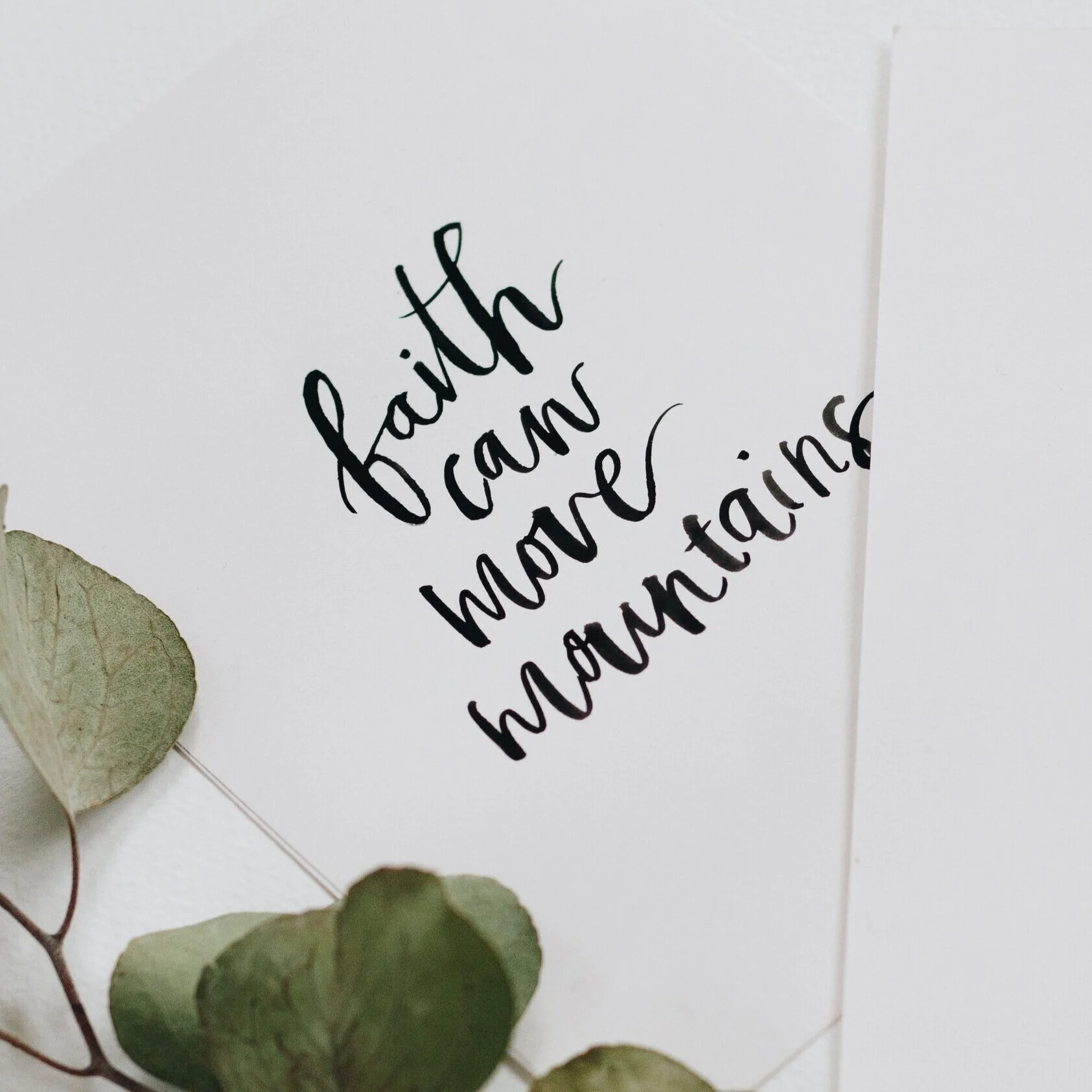 About Us — Compassion Network