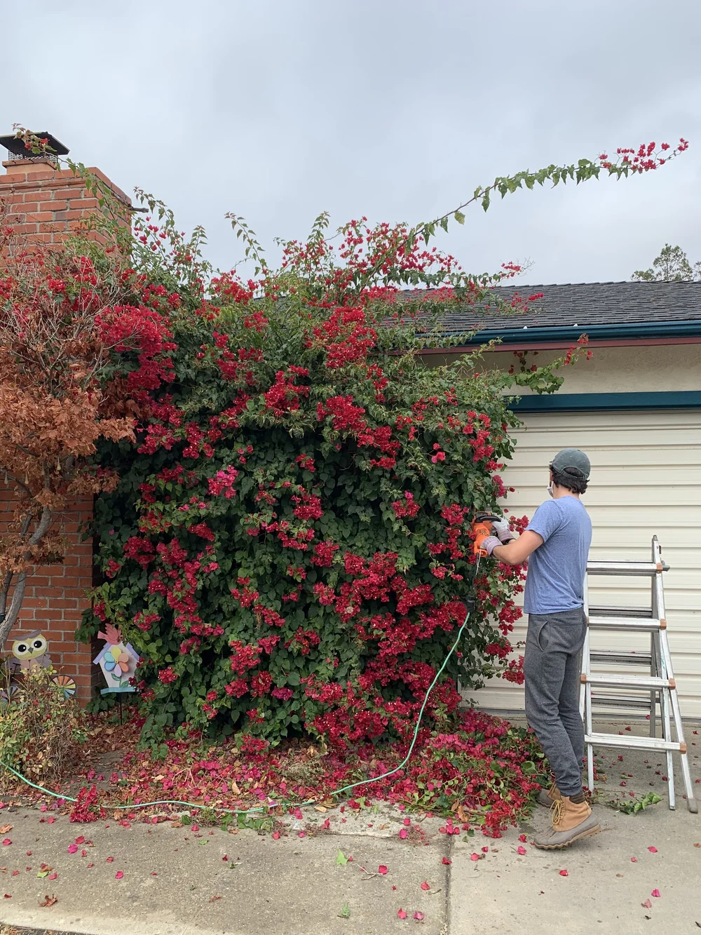 The Follow Up — Compassion Network