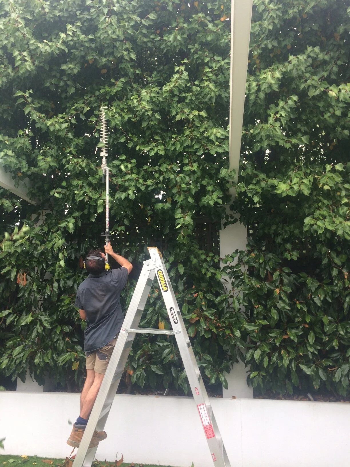 Garden maintenance — Maximum Growth Horticulture