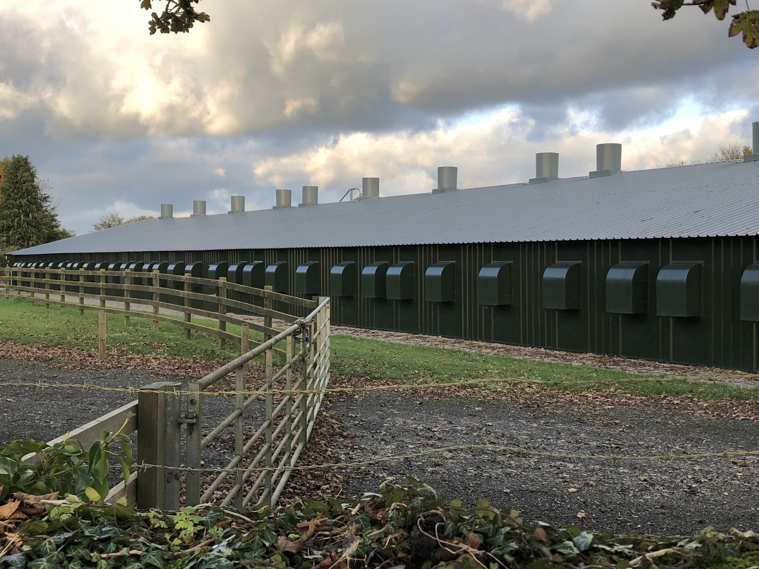 Unfolding — Dialect