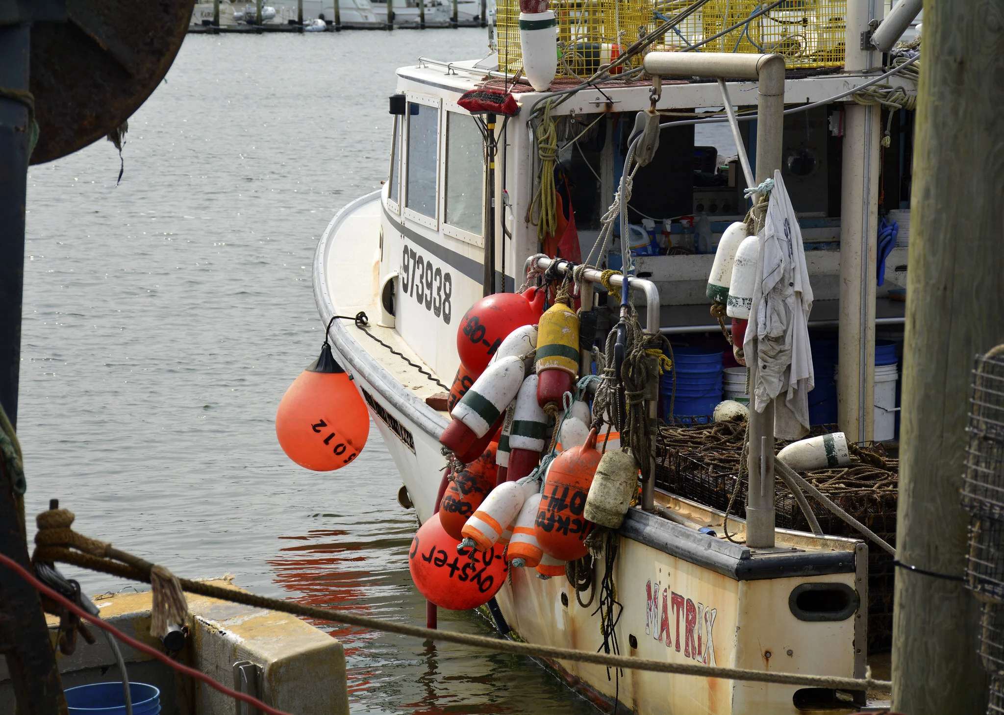 Our Region — Narragansett Bay Estuary Program