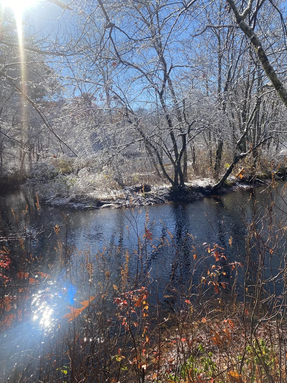 Our Region — Narragansett Bay Estuary Program