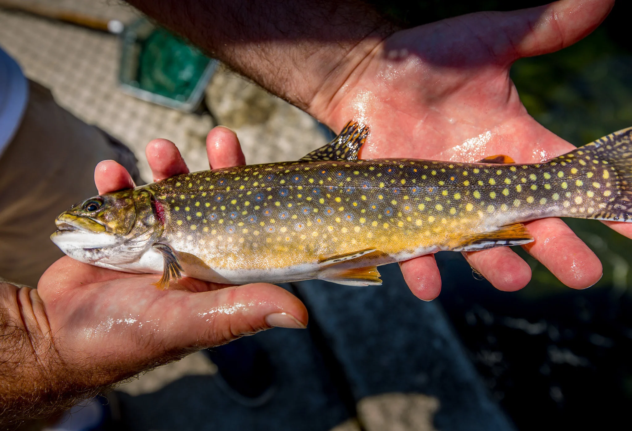 Our Region — Narragansett Bay Estuary Program