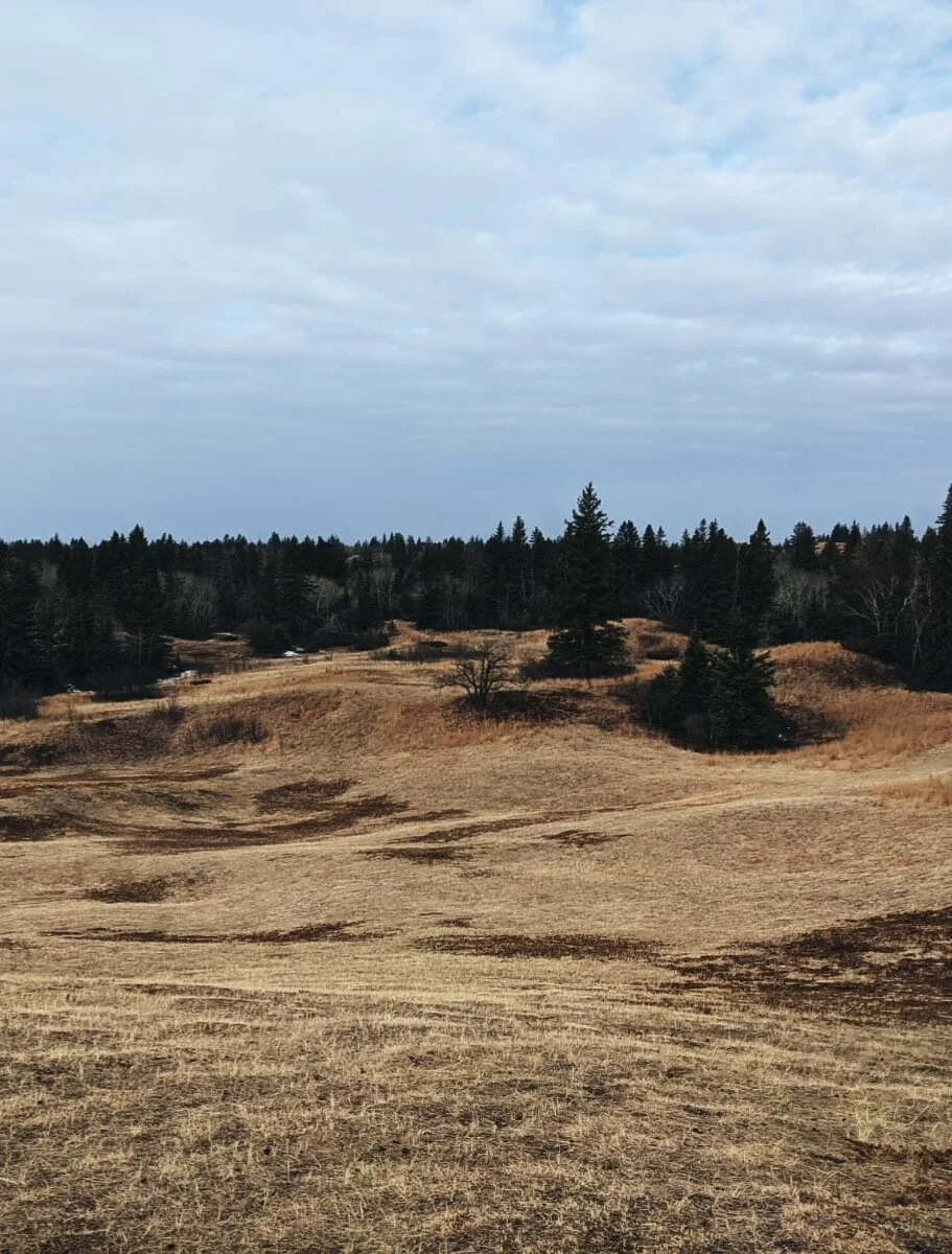 Hike Manitoba Blog — Hike Manitoba.