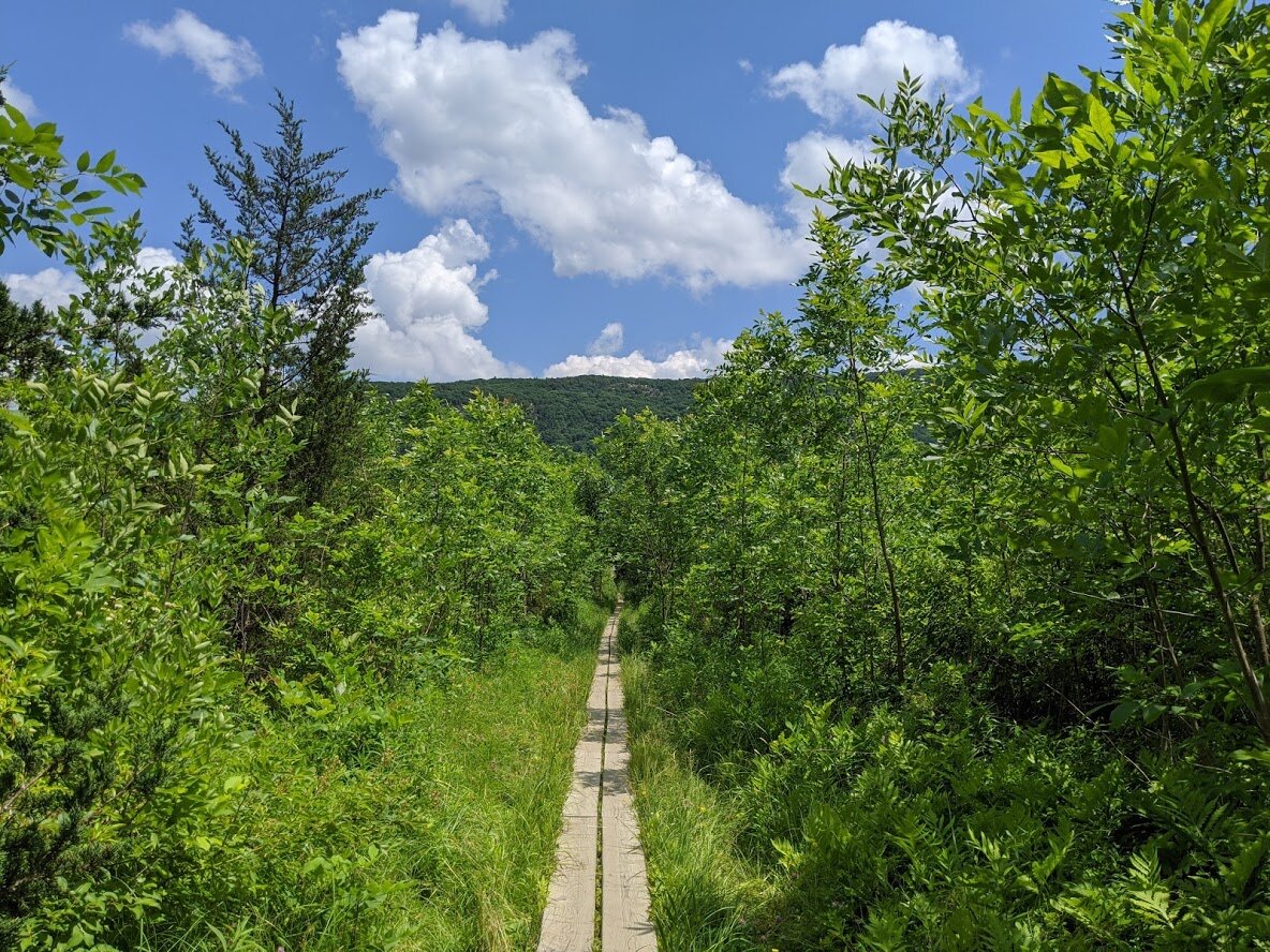 General 1 — Highlight Hiker