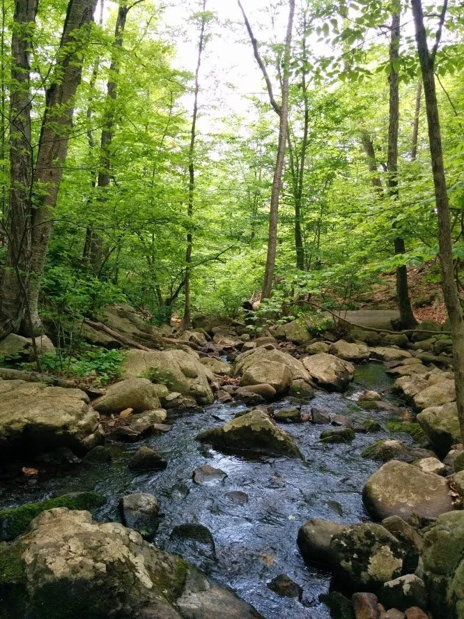 Ramapo Valley County Reservation — Highlight Hiker