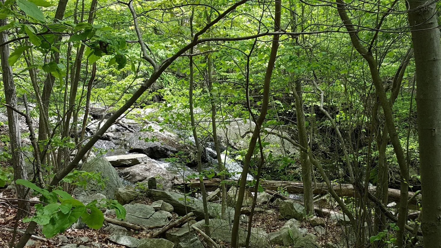 Ramapo Valley County Reservation — Highlight Hiker