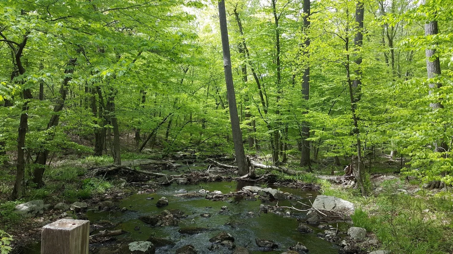 Ramapo Valley County Reservation — Highlight Hiker