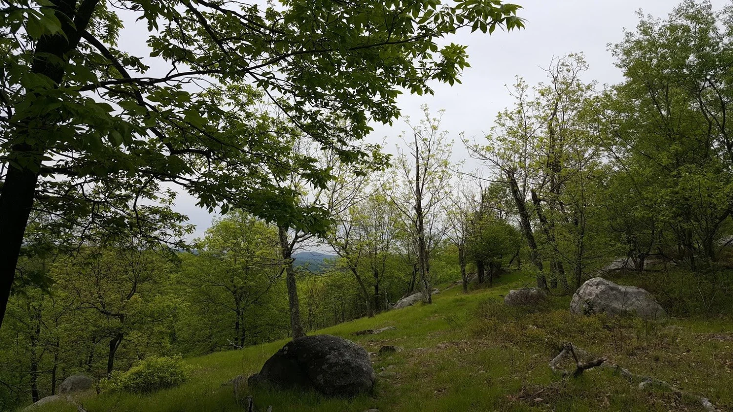 Ramapo Valley County Reservation — Highlight Hiker