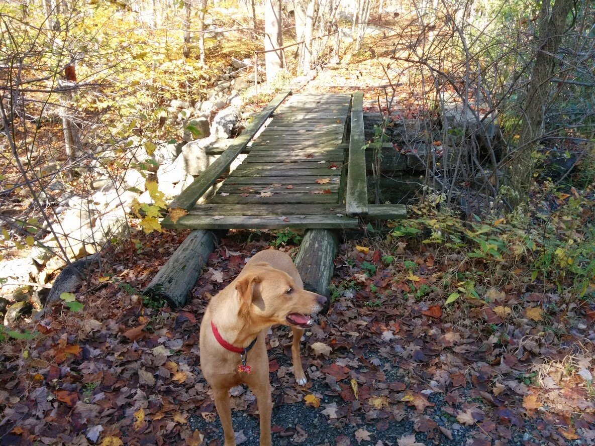 The Cannonball Trail — Highlight Hiker