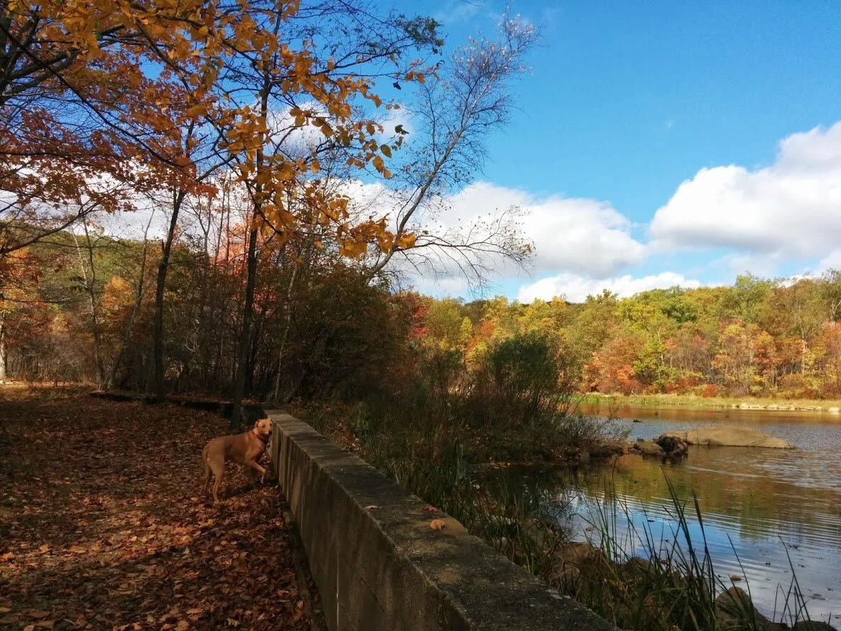 The Cannonball Trail — Highlight Hiker
