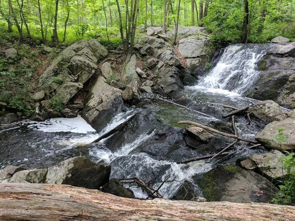 Norvin Green State Park — Highlight Hiker