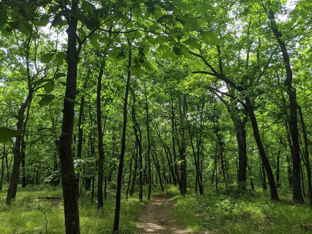 July 6, 2020 — Highlight Hiker