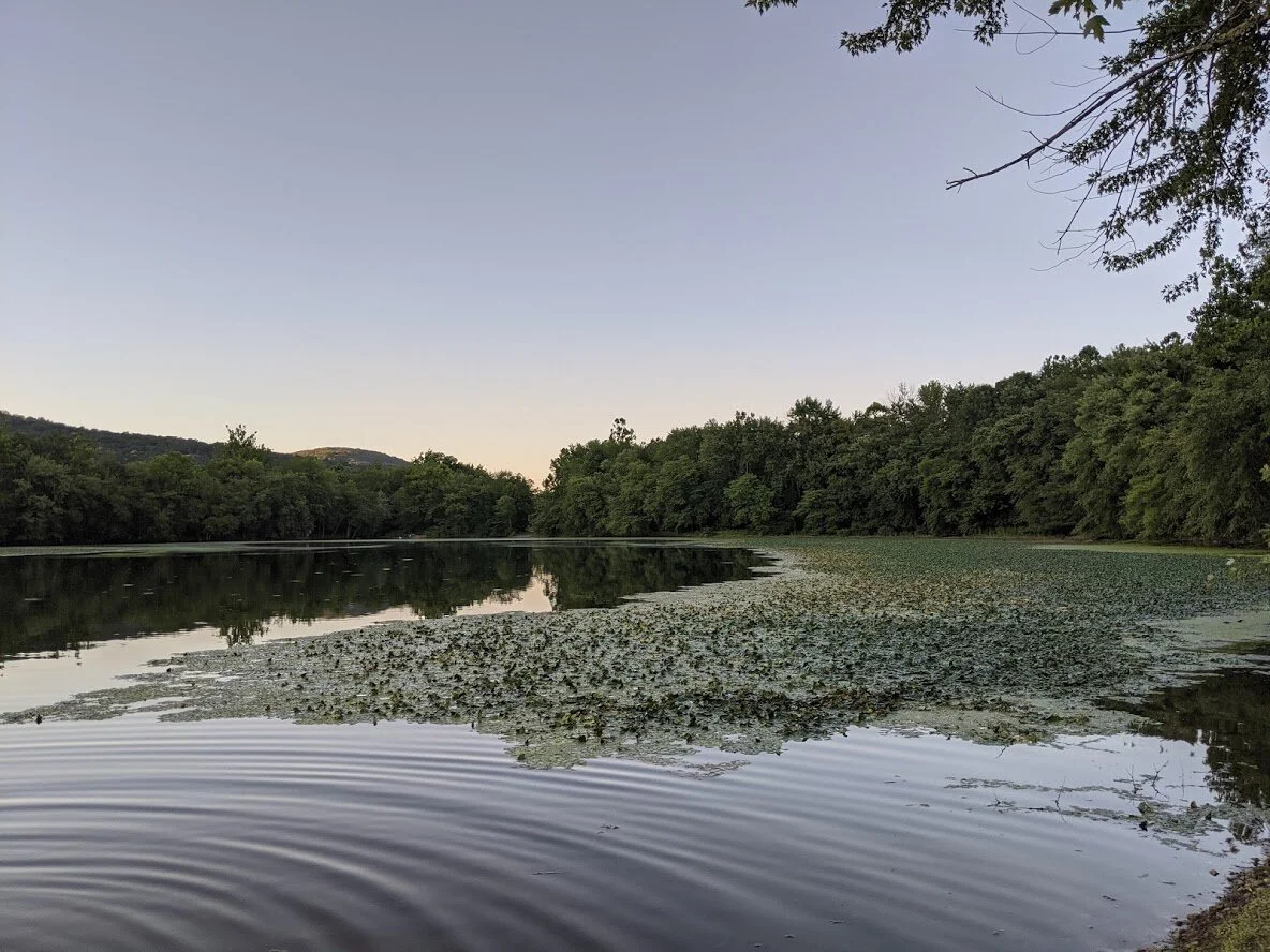 July 31, 2020 - Cascade Lake Park & Lake Henry — Highlight Hiker
