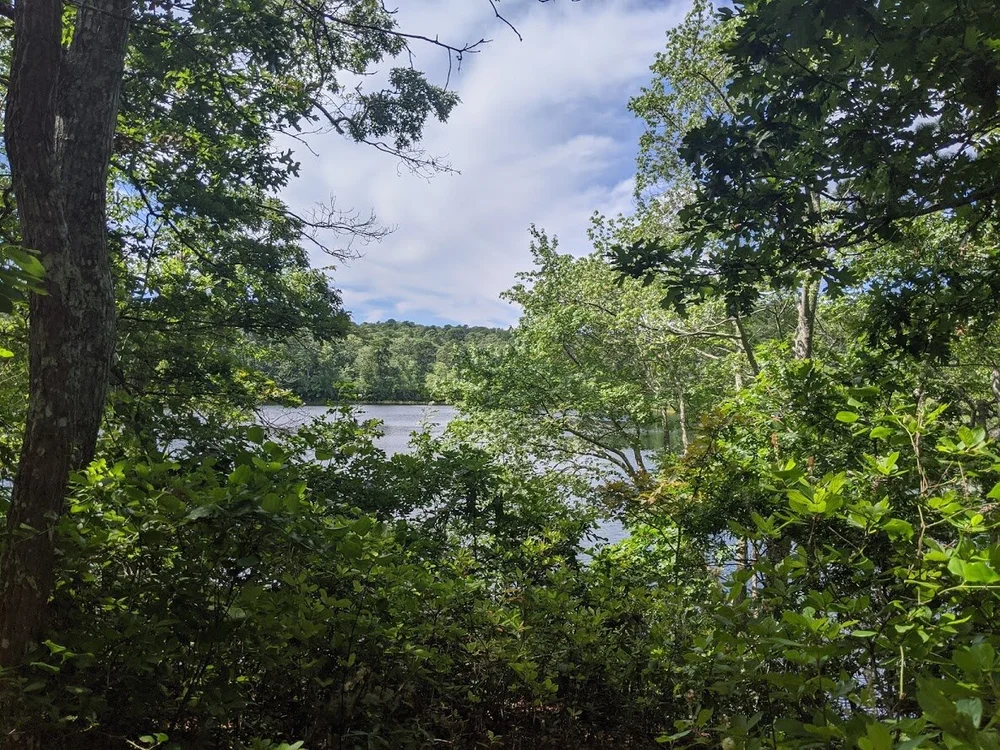 August 26, 2020 - Bakers Pond — Highlight Hiker
