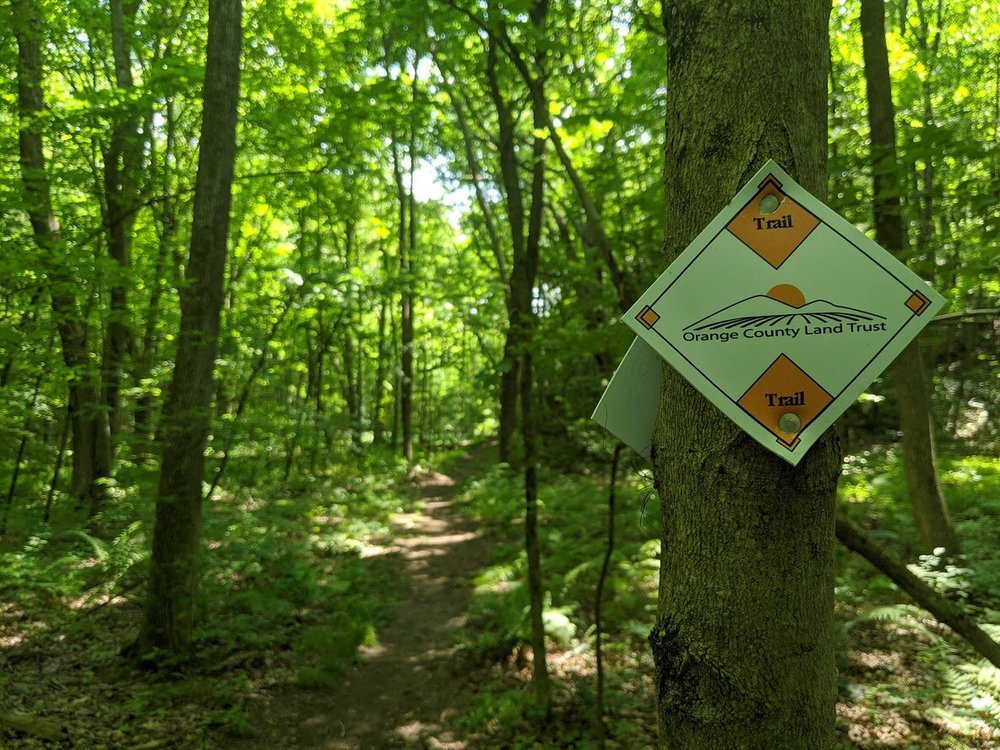 Fuller Mountain Preserve — Highlight Hiker