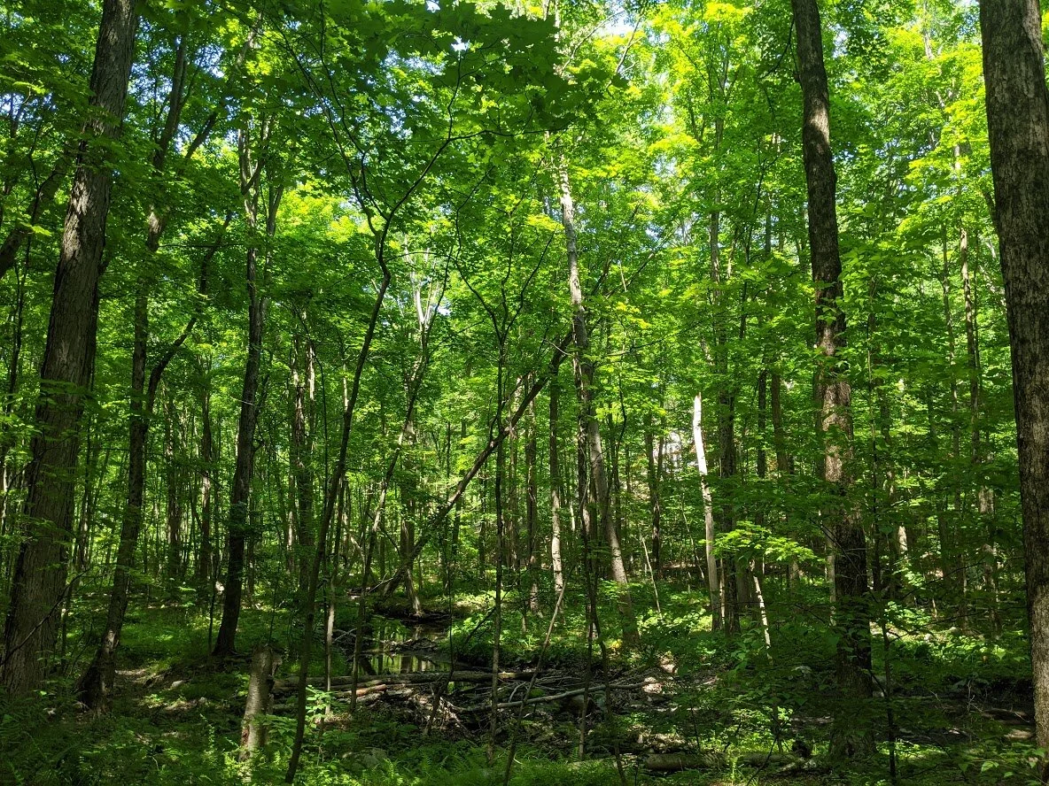 Fuller Mountain Preserve — Highlight Hiker