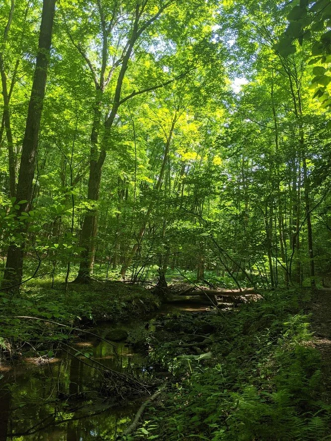 Fuller Mountain Preserve — Highlight Hiker