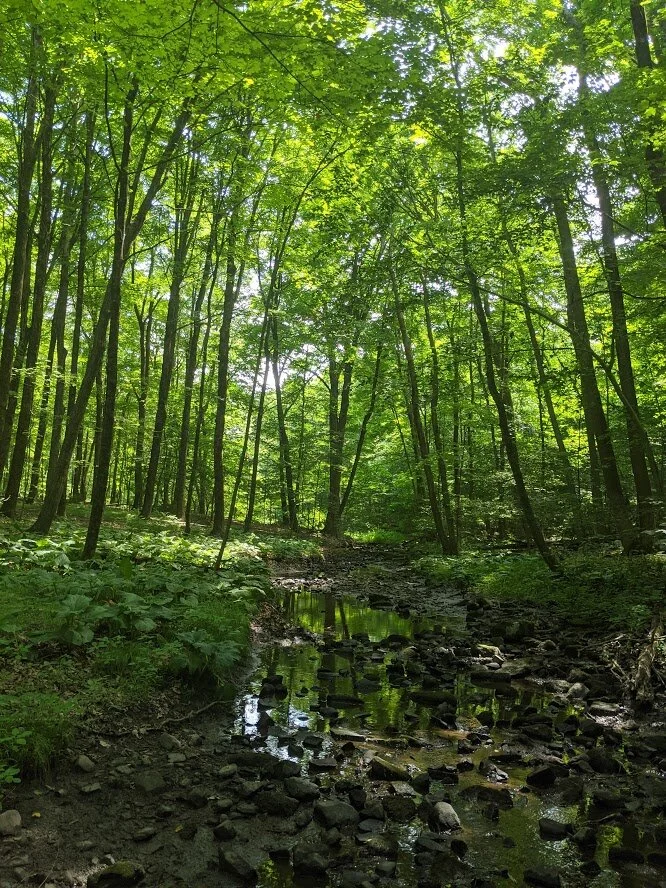 Fuller Mountain Preserve — Highlight Hiker