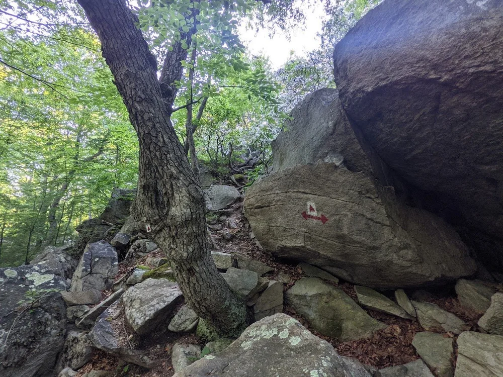 June 6, 2021 - Norvin Green State Forest, Stonetown Circular West ...