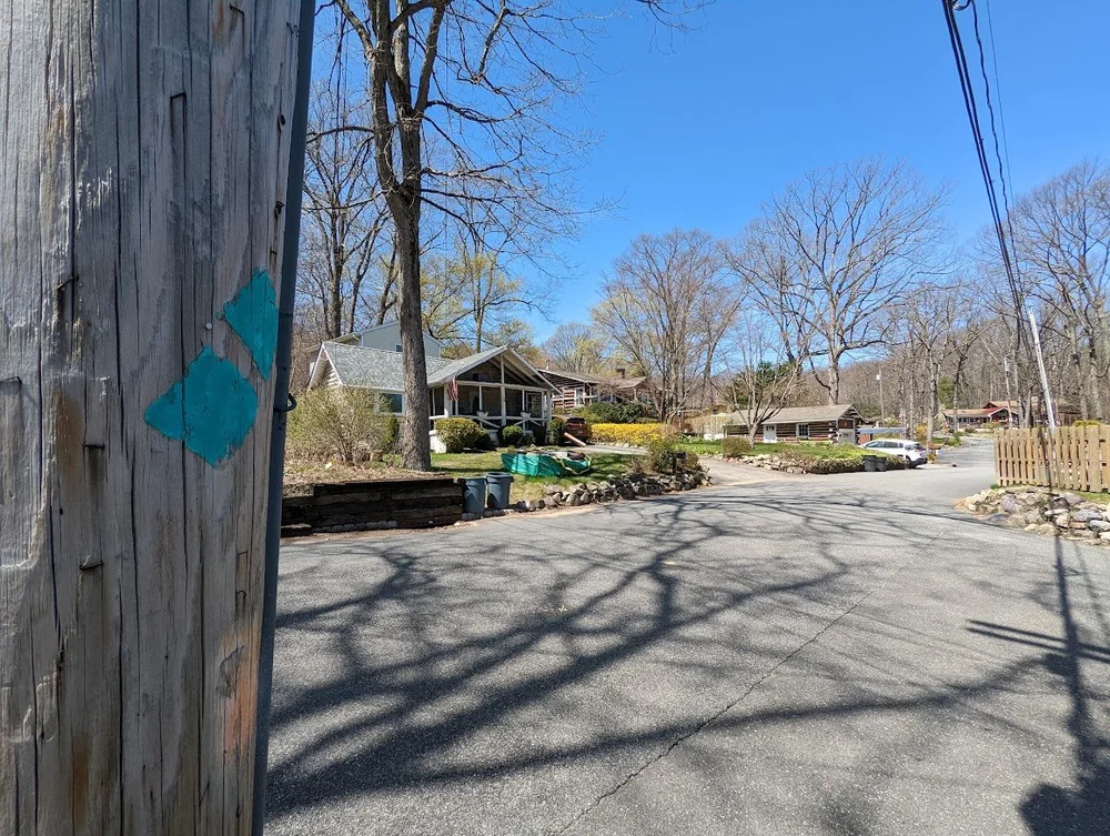 April 22, 2022 - Norvin Green State Forest, Highlands Trail — Highlight ...
