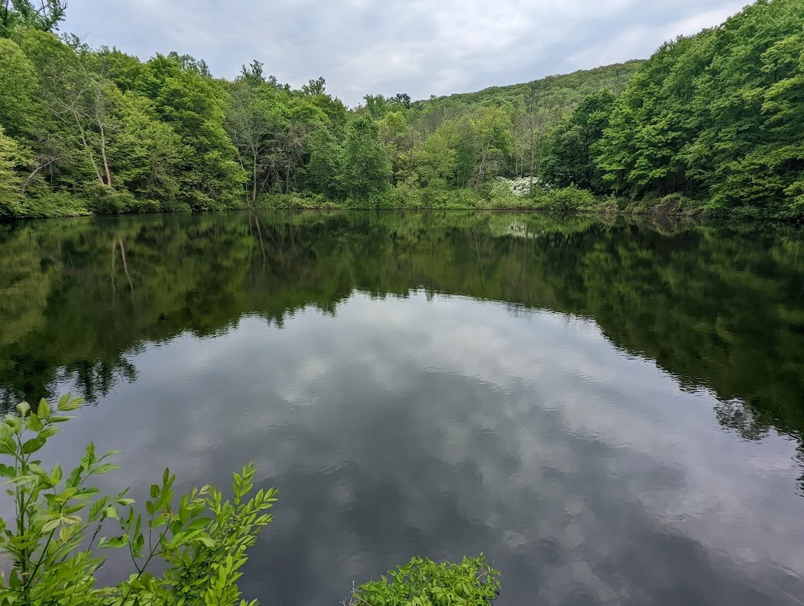 May 22, 2022 - Ringwood State Park, Five Ponds PLUS Jungle Habitat ...