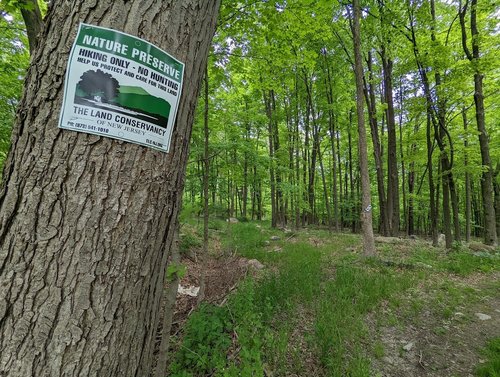 May 24, 2022 - Nancy Conger West Brook Preserve — Highlight Hiker