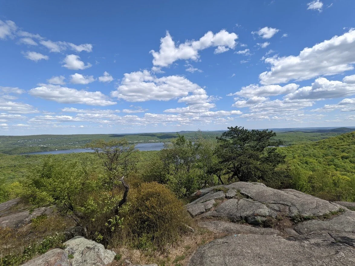 May 12, 2021 - Norvin Green State Forest, Outlaw to Highlands ...