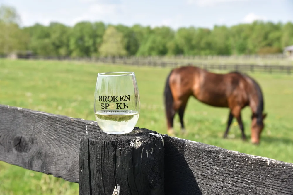 Visitor Map — Broken Spoke Winery