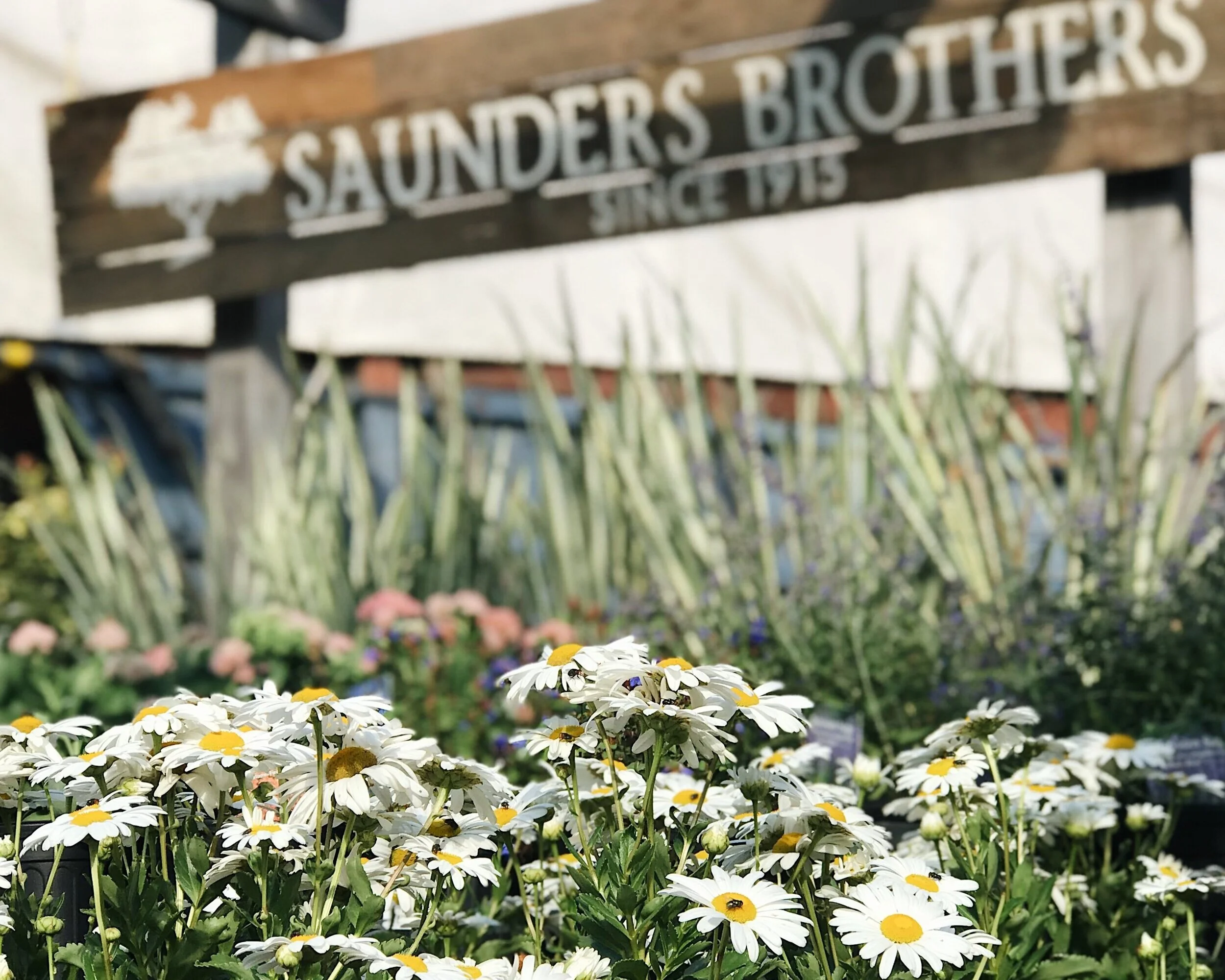 About — Saunders Brothers Farm Market