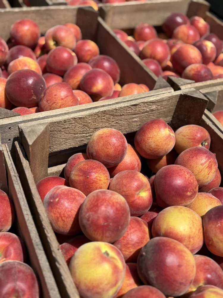 Saunders Brothers Farm Market