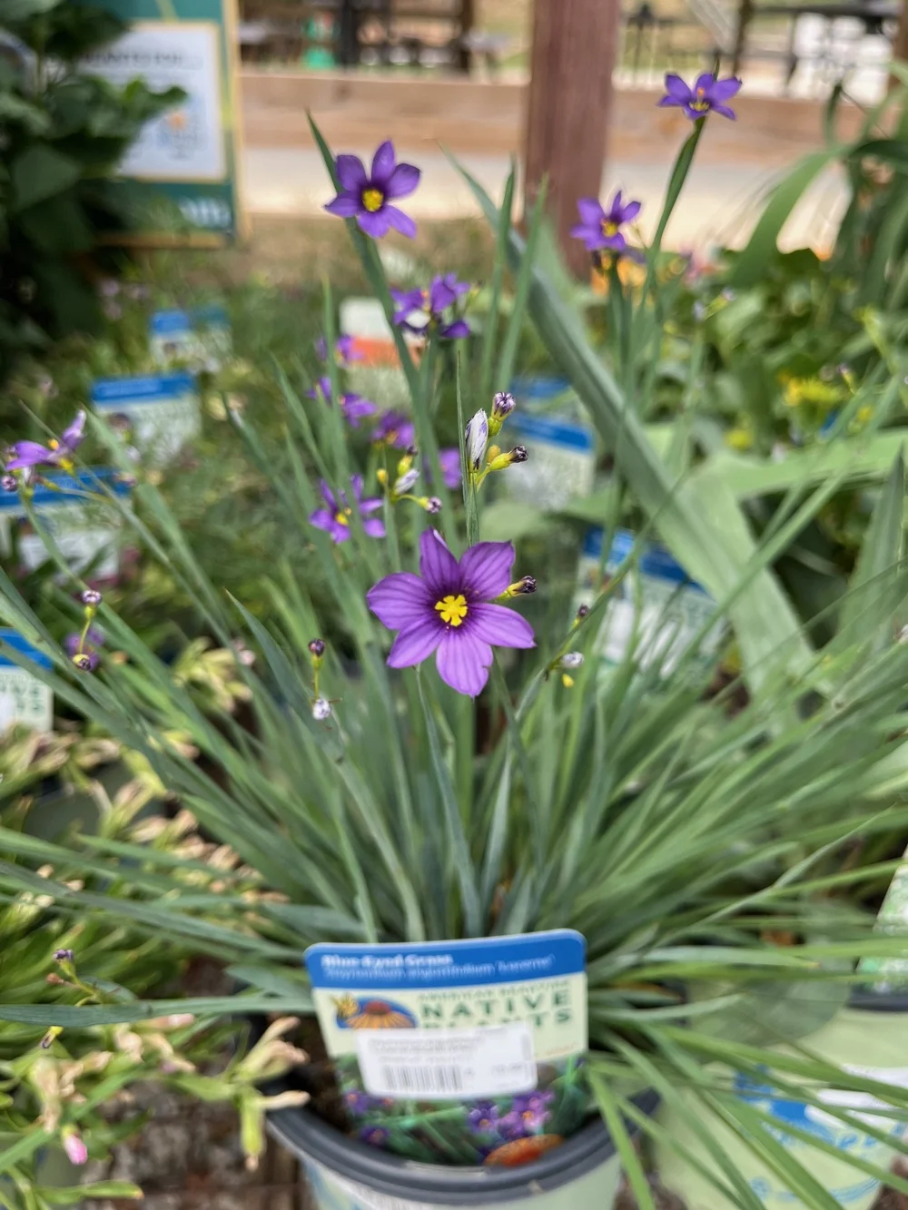 Saunders Brothers Farm Market