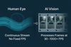 Human Eye vs AI: Can AI Process Vision Faster Than Us? | Sighthound