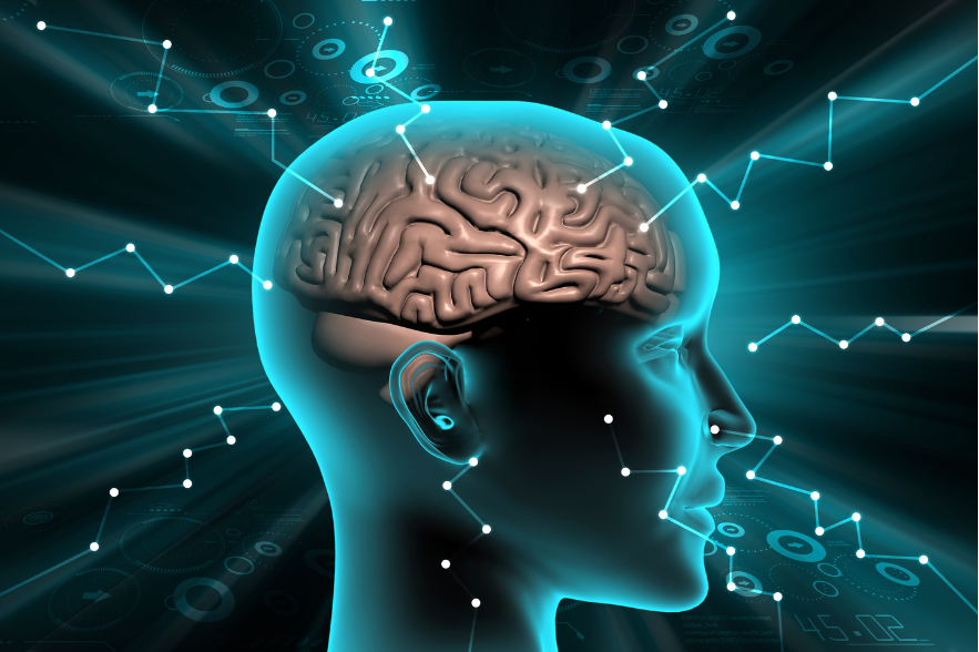 Human Eye vs AI: Can AI Process Vision Faster Than Us? | Sighthound, Inc.