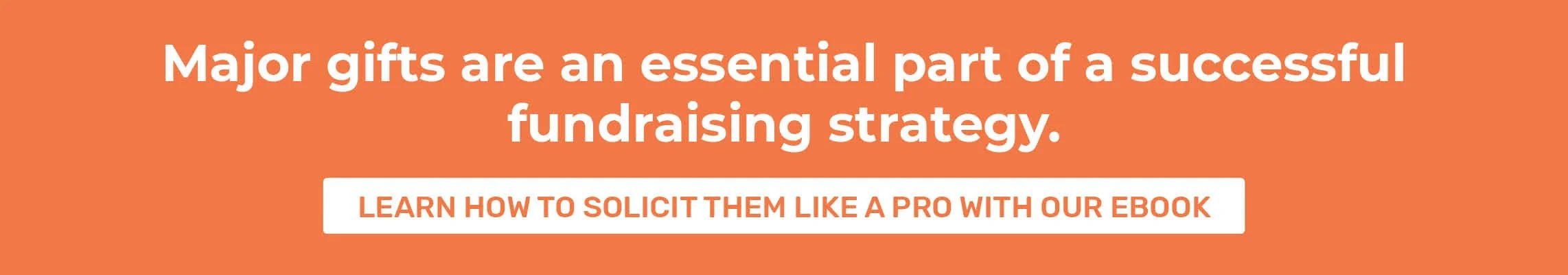 Donorly — Fundraising Strategy for Beginners: How to Create Your Own