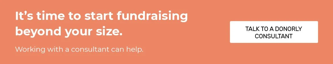 Donorly — Nonprofit Consultants: 5 FAQs & Our Top Recommendations