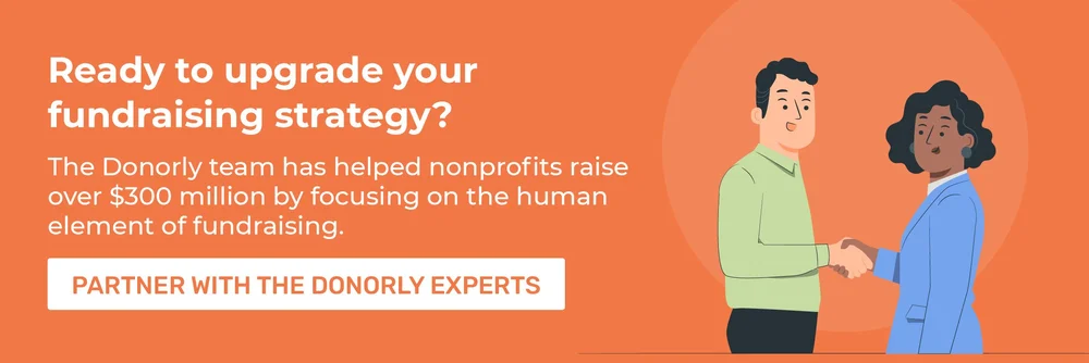 Donorly — Fundraising Strategy for Beginners: How to Create Your Own
