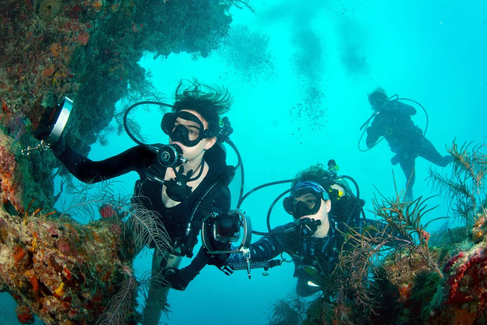Scholarships — Chicago Undersea Explorers Society