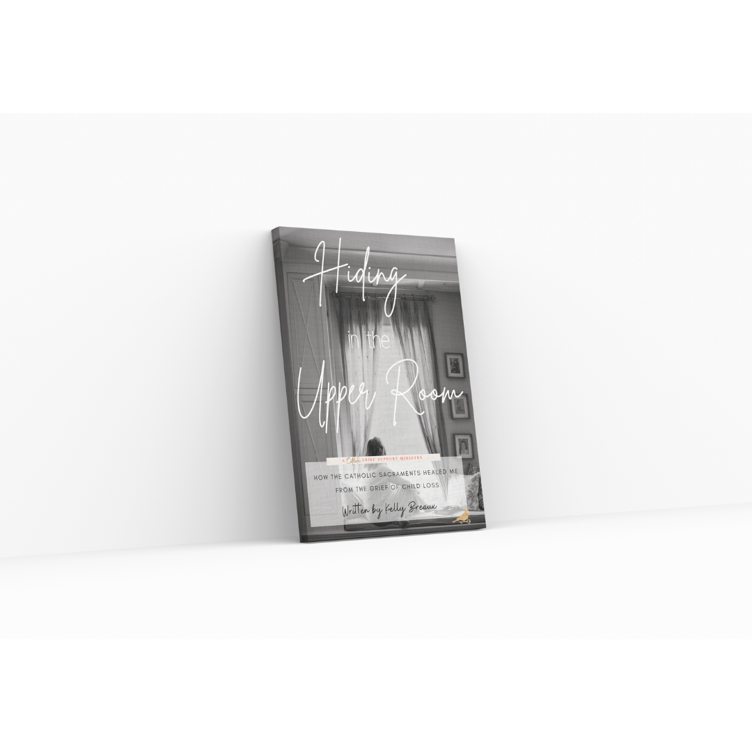 HIUR - Book Study - Printed — Red Bird Ministries