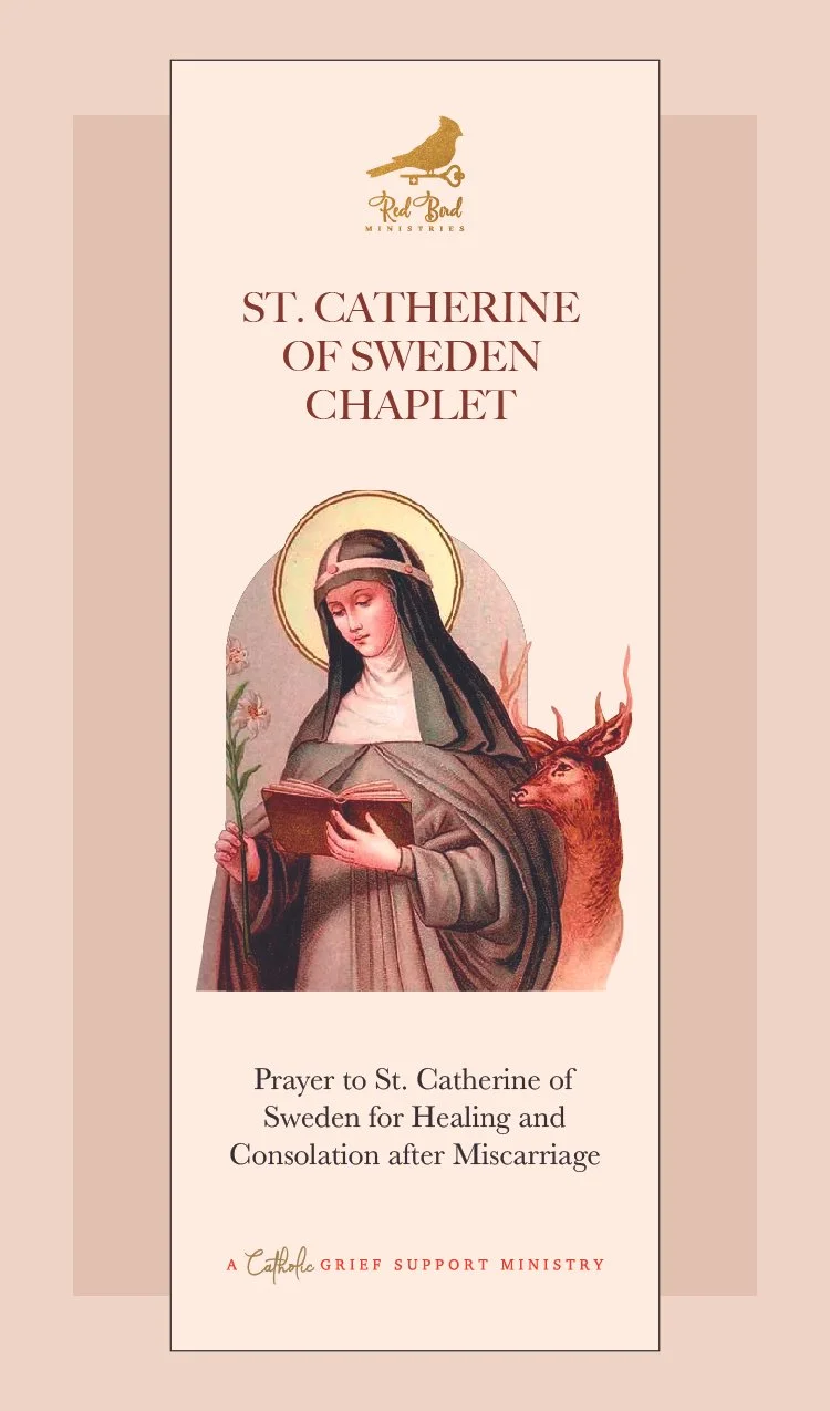 Donum Dignitatis: The Catholic's Guide to Miscarriage — Red Bird Ministries