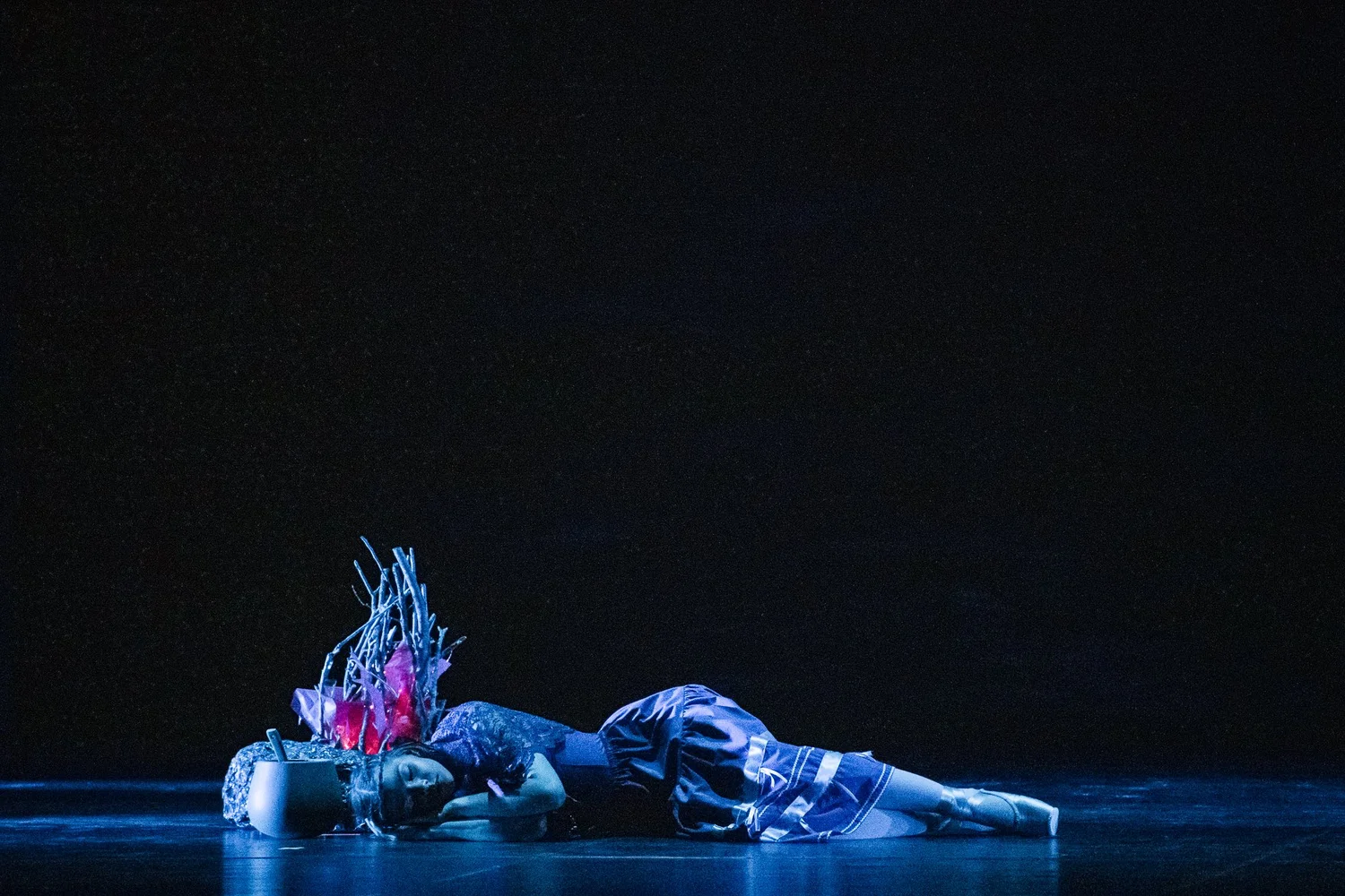 Children's Ballet Performance Oklahoma City-Edmond — CLASSICAL BALLET ...