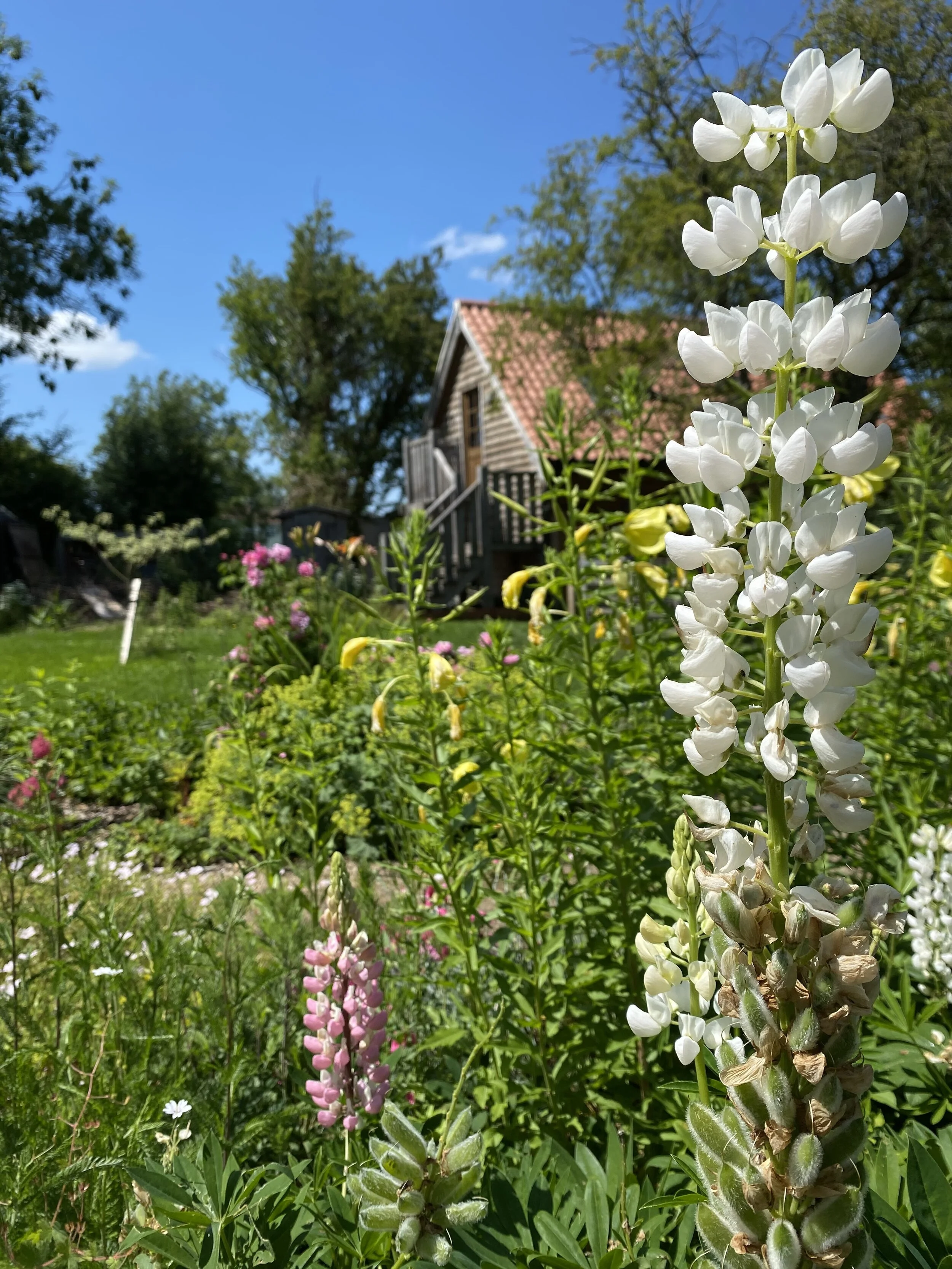 Rufford Garden Designs - Landscapers for Lincolnshire, Nottinghamshire ...