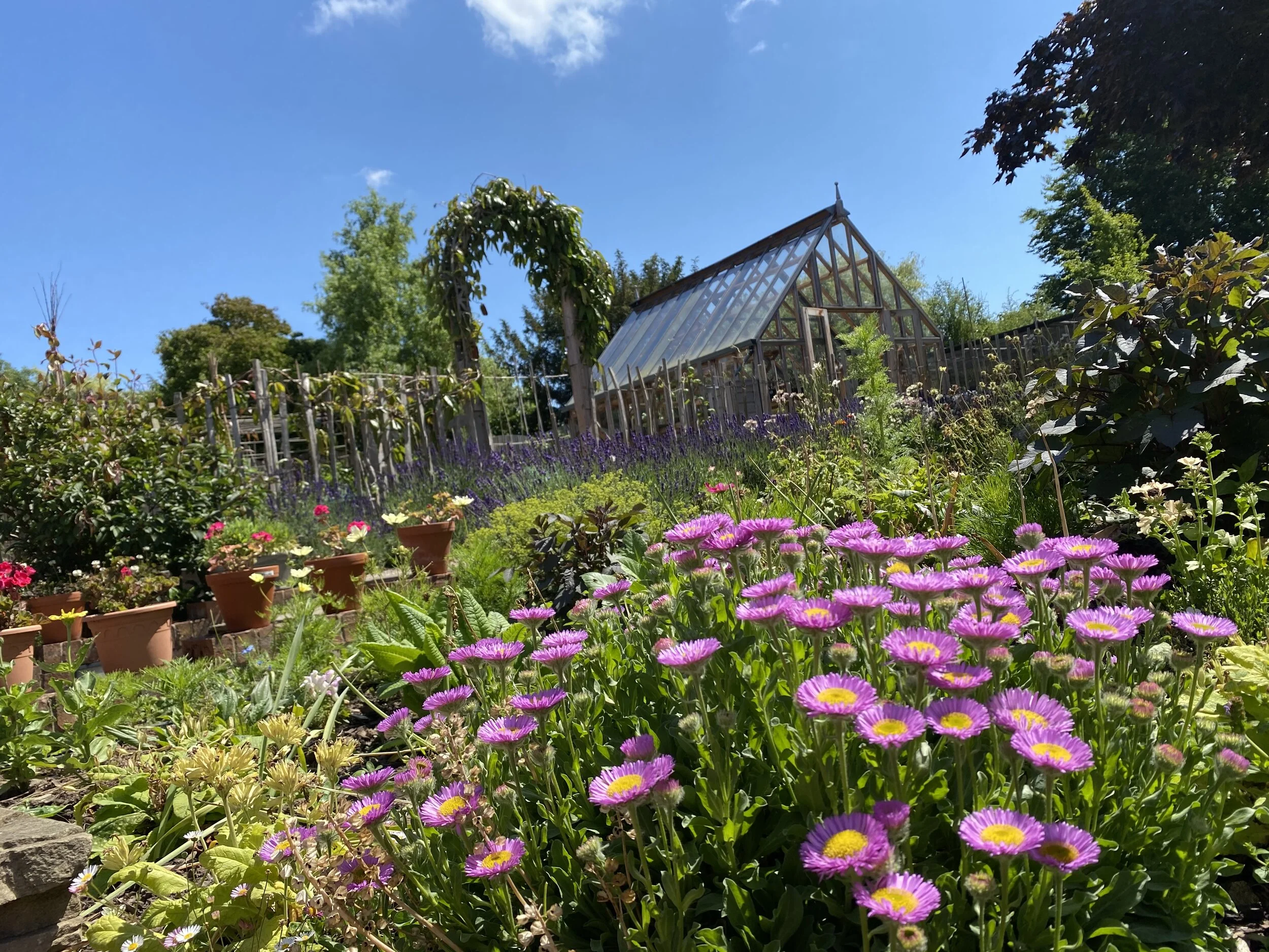 Our Projects — Rufford Garden Designs