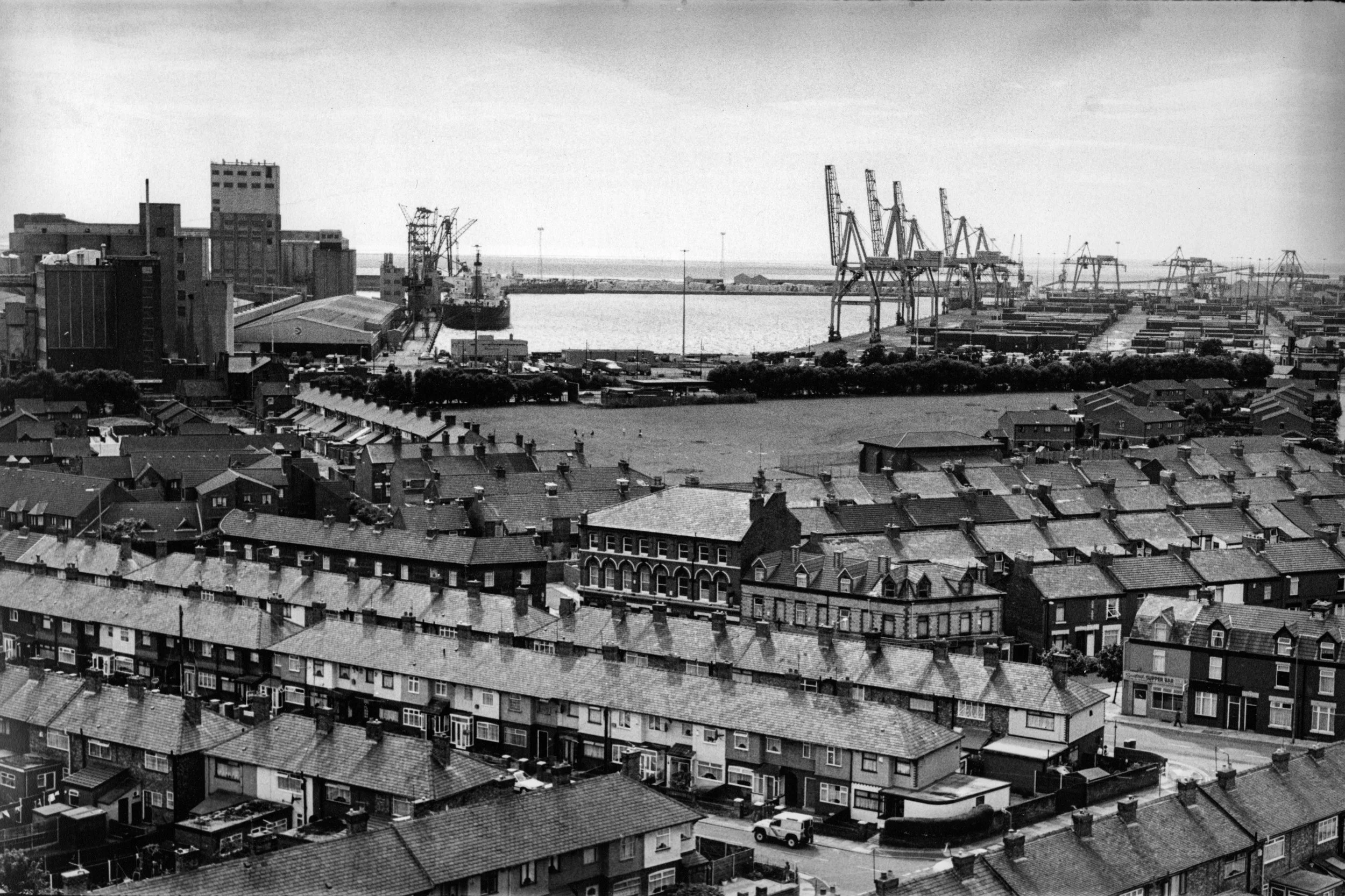 Liverpool Dockers — Andrew Testa