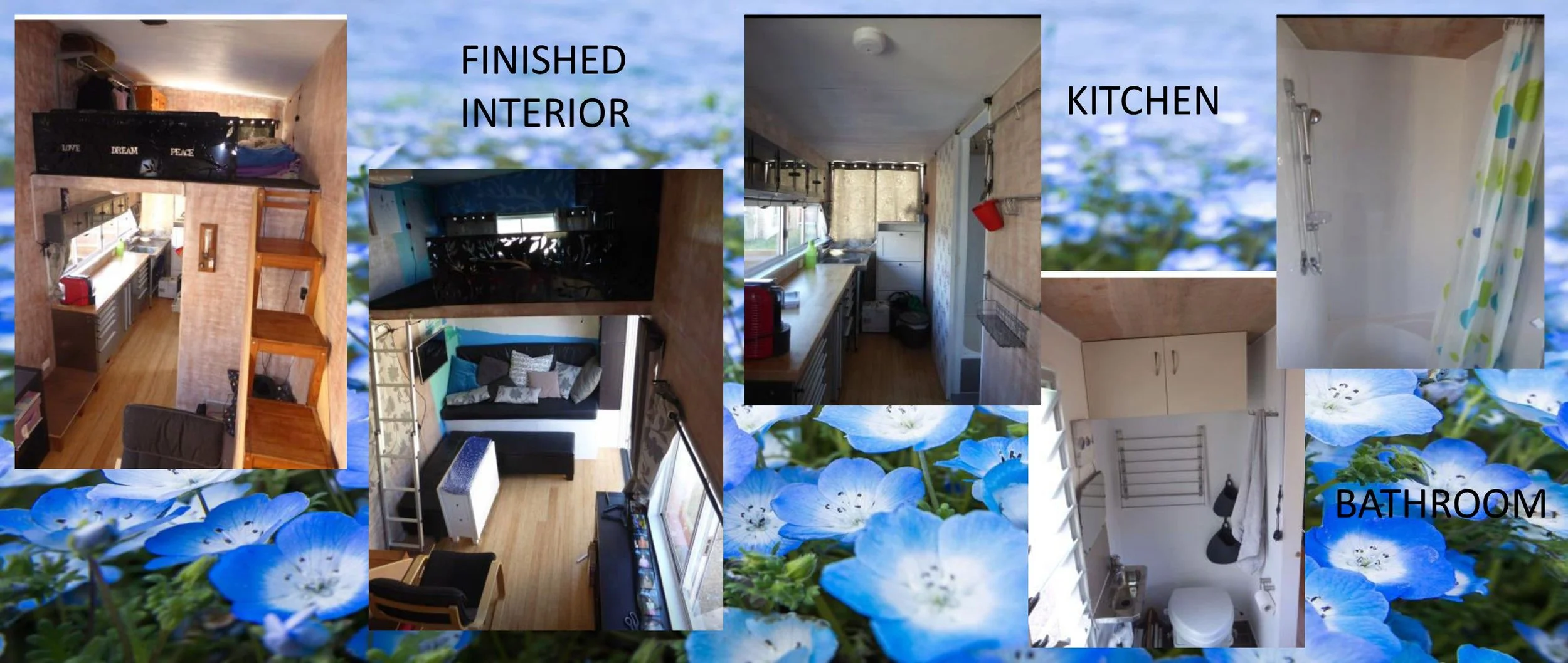 How We Help DV Survivors — Dandelion Safe Homes Ltd.