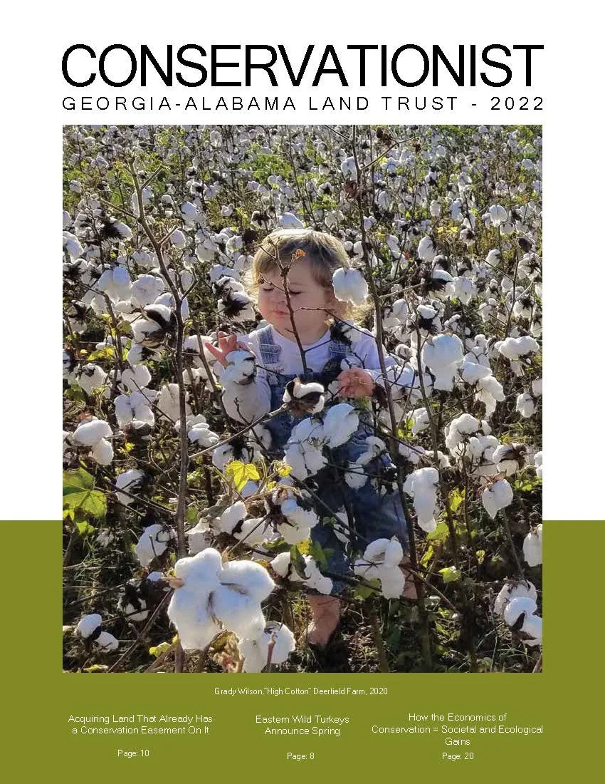 News — Georgia Alabama Land Trust