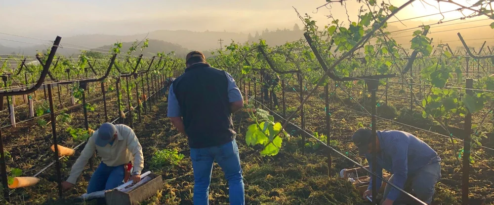 Team — Solares Vineyards